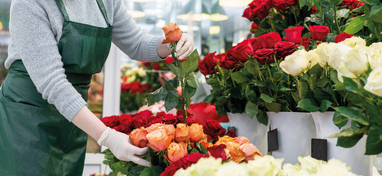 Recomendaciones para el cuidado de tus flores - Flores Colombia